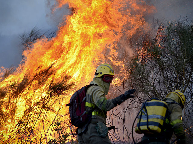 Incêndios Florestais: Custo dos Incêndios na Espanha