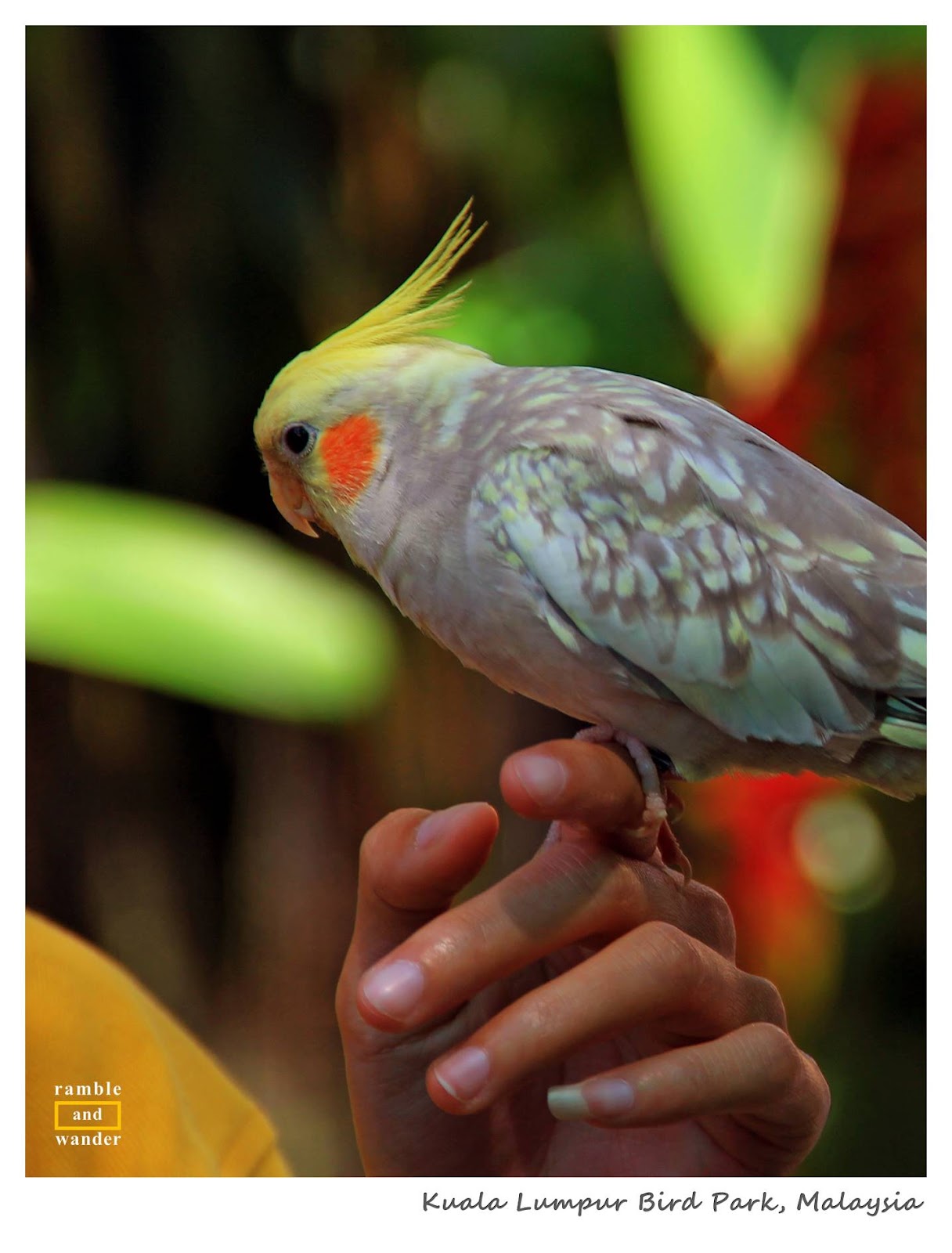 Malaysia: Kuala Lumpur Bird Park - Ramble and Wander