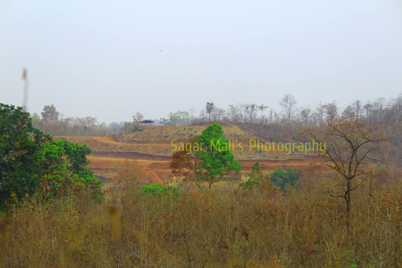 SAGAR MALI: Barvi dam and near by jungle trail