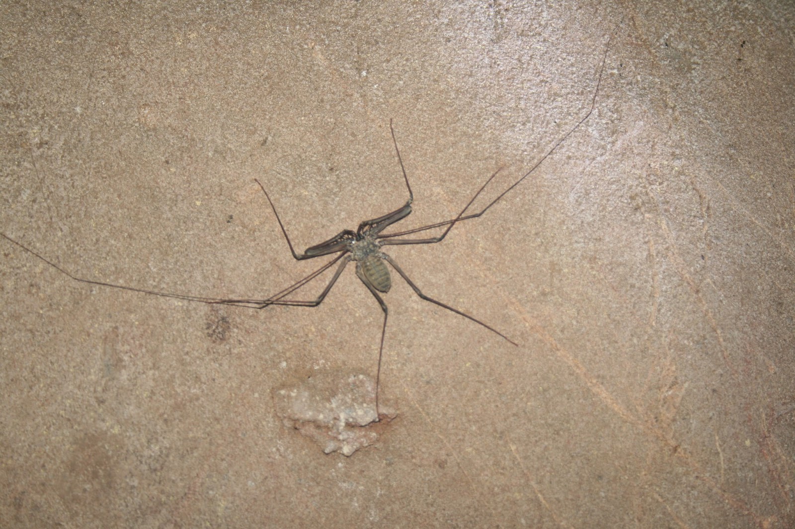 Robin en Heike op reis: februari 2013