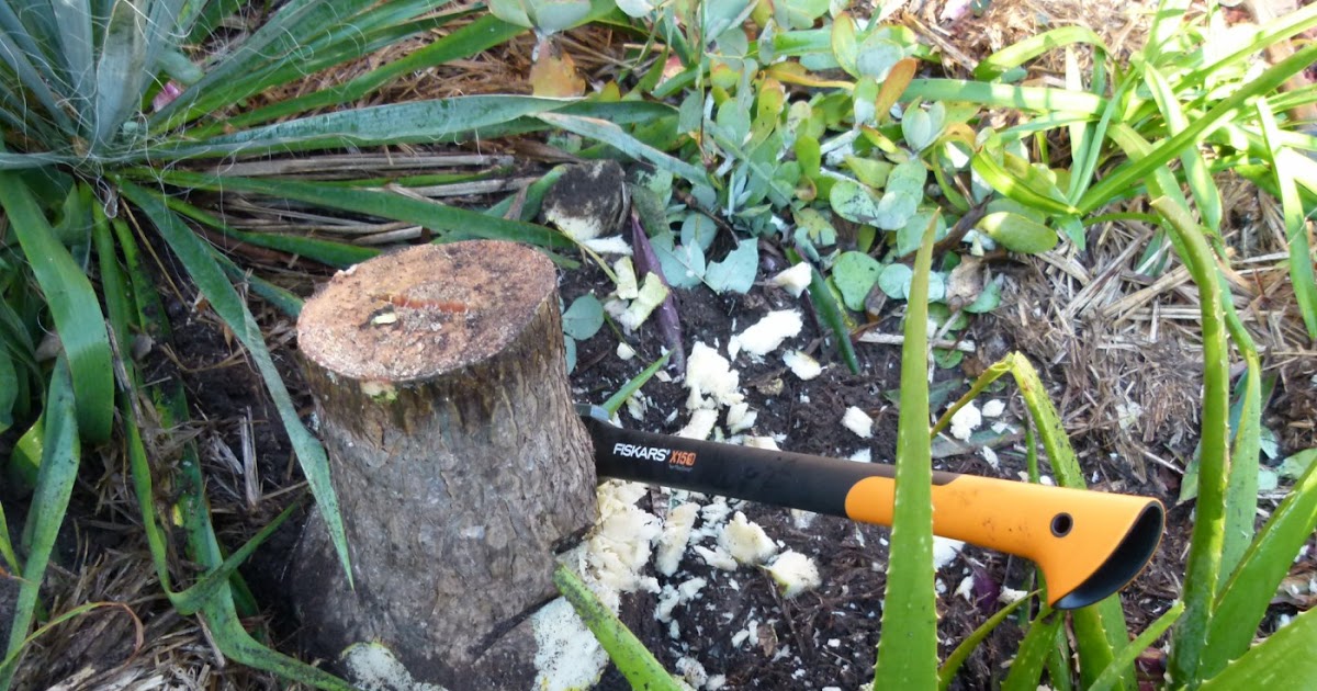 Garden Product Reviews: Best Axe