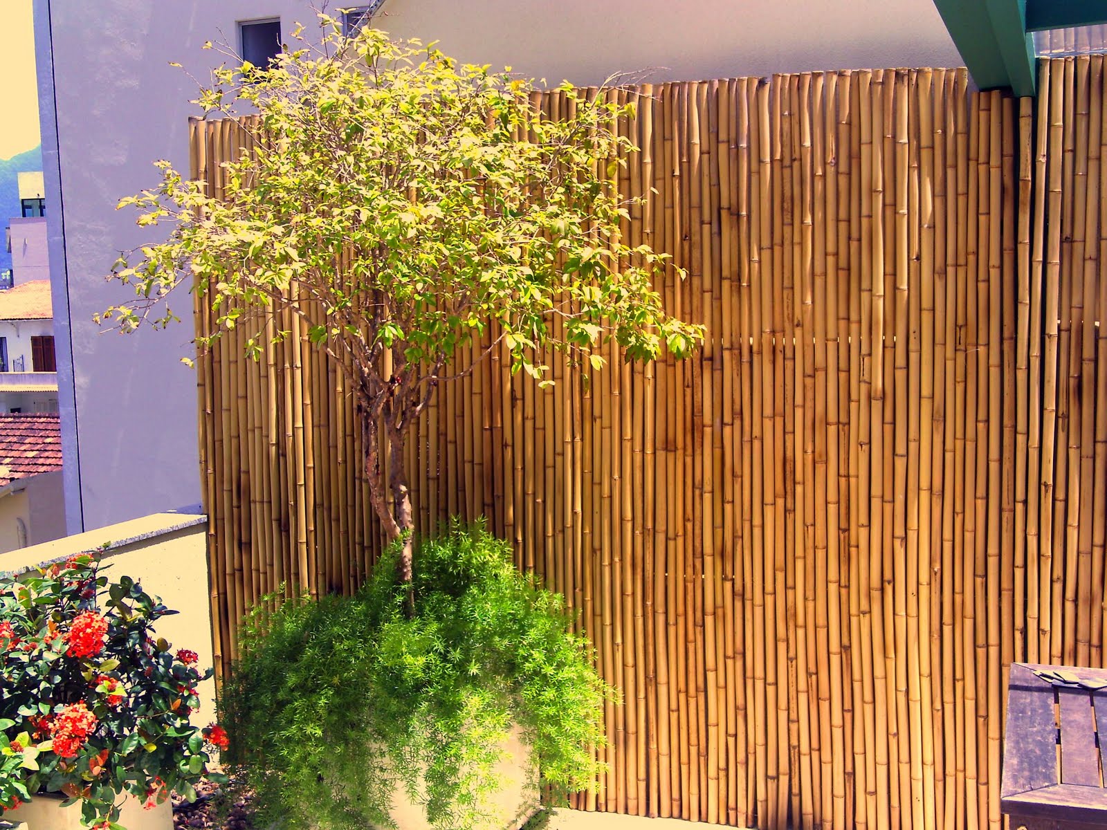 Cercas de bambu no Rio de Janeiro: CERCAS DE BAMBU