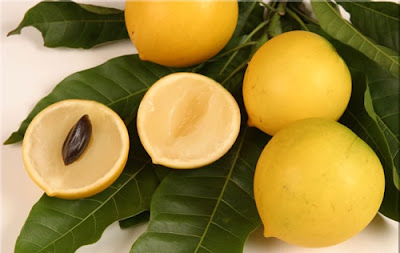 Fruit Warehouse: Abiu ( Pouteria caimito )