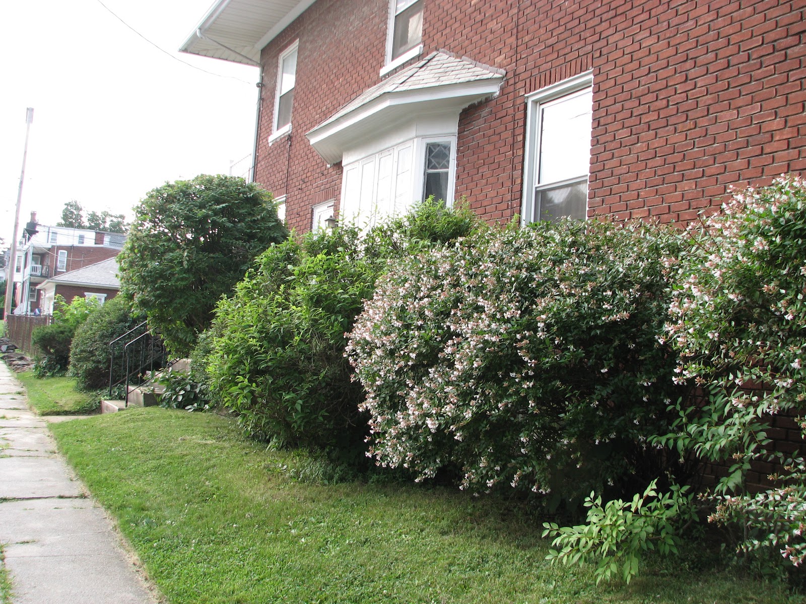 The York Town Snuggery: No Pain, No Gain: How to Revive Old and ...