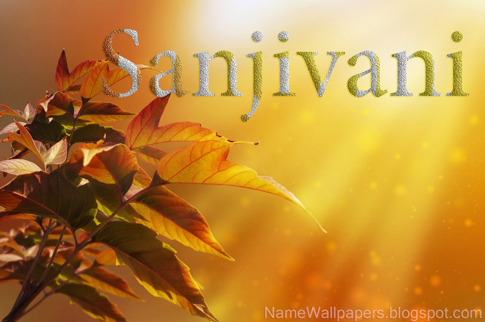 Sanjivani Name Wallpapers Sanjivani ~ Name Wallpaper Urdu Name Meaning ...