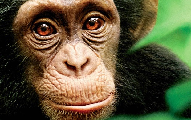 La nueva Ilustración Evolucionista / The new Evolutionary Enlightenment ...