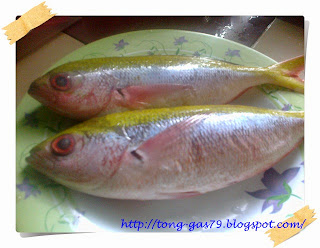 Gambar Ikan Kapiek | Dunia Binatang