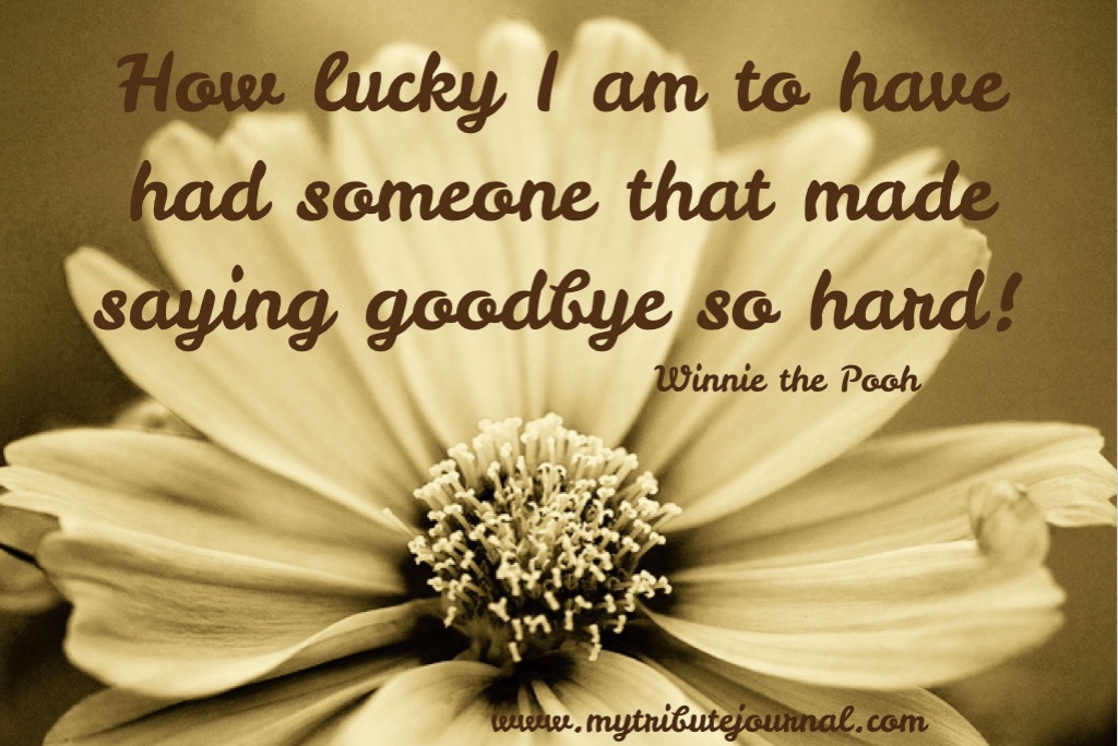 The Pancreatic Cancer Journey: You make saying Goodbye so hard...