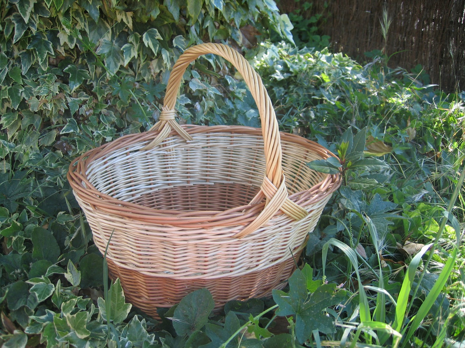 Paloma en la MORADA: Cesteria en Mimbre
