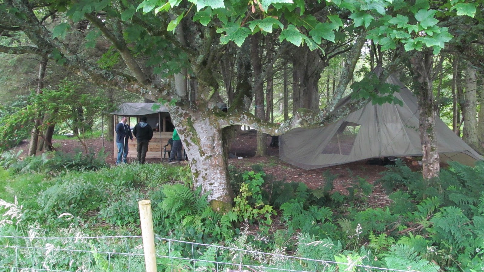 BUZZARD BUSHCRAFT: Northern Ireland Bushcraft Club