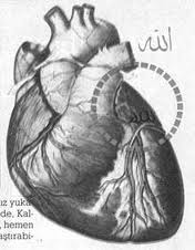 miracles of allah: miracles of allah on heart