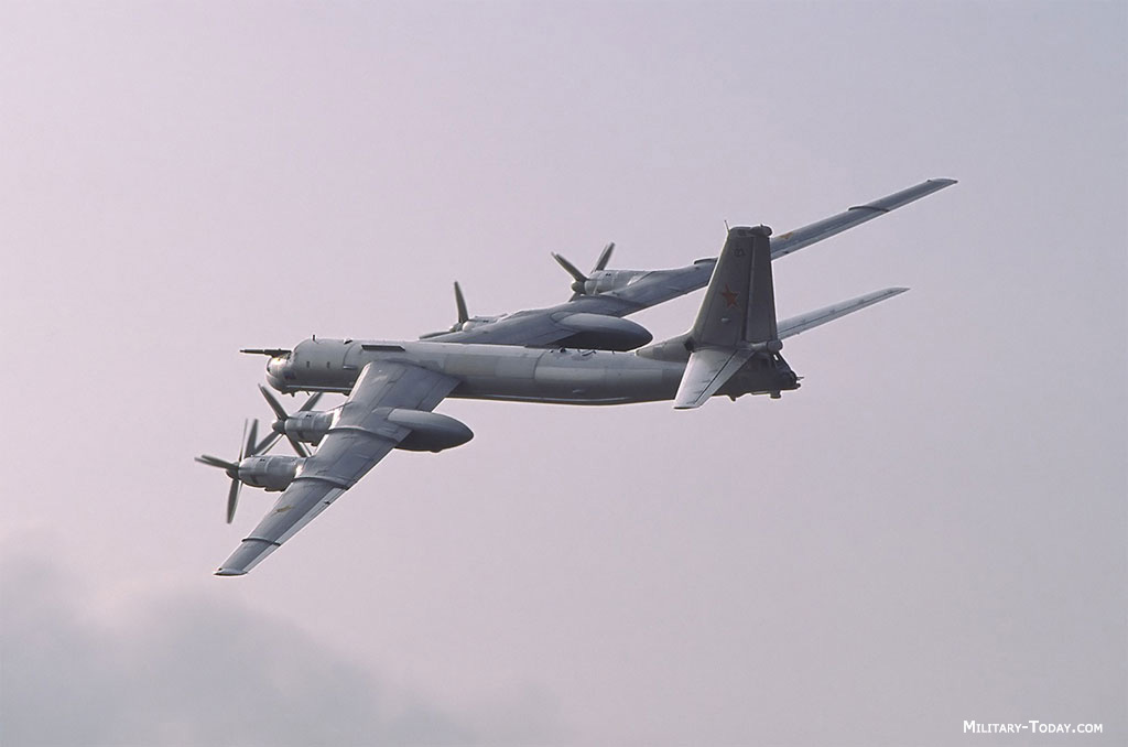 Tu-95 Bear Strategic Bomber Aircraft |Russian Military Aircraft Picture