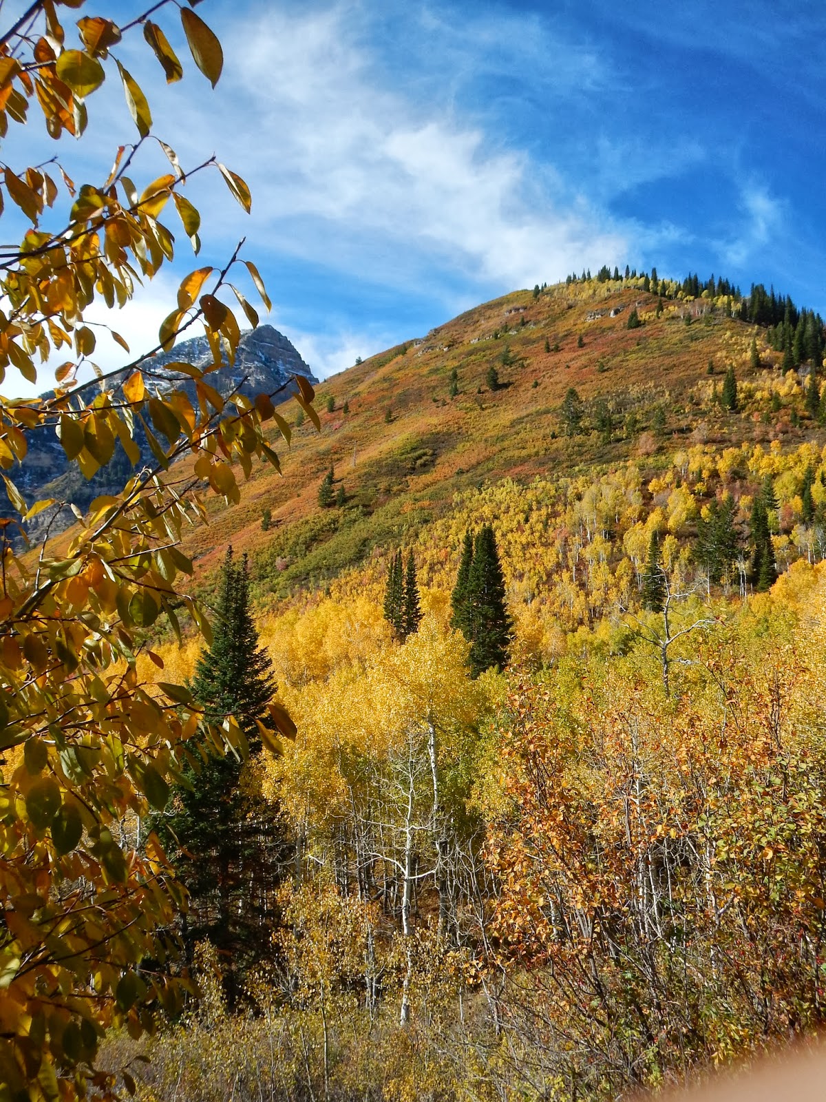 A Place to Share: Alpine Loop Fall 2013