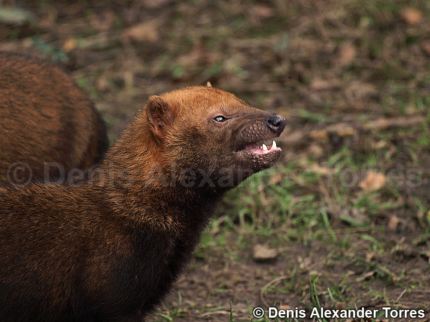 VISION TORRES - IMAGENES DE NUESTRO MUNDO: A LA DERECHA, A LA IZQUIERDA ...