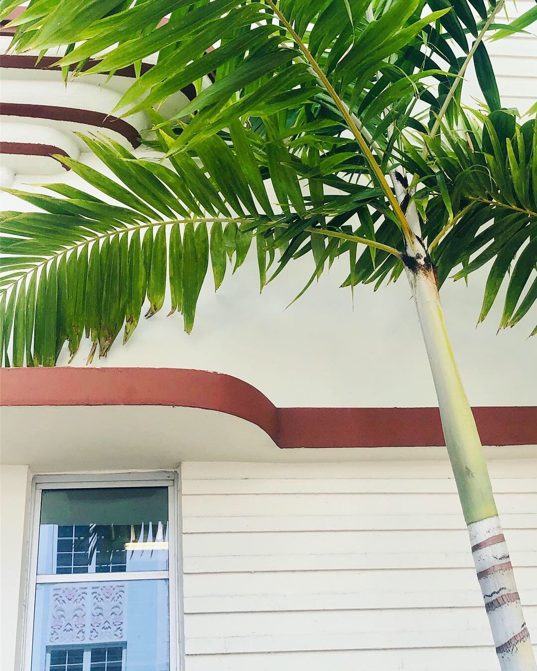 Leigh Beisch Photography Blog