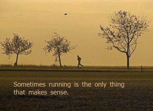 The Beginners Runner: Journey from unfit to marathon finish: Momentum ...