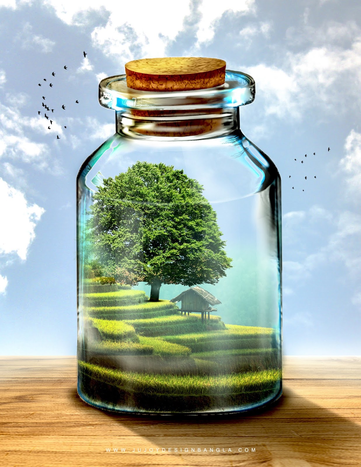 Newer Post Older Post Home