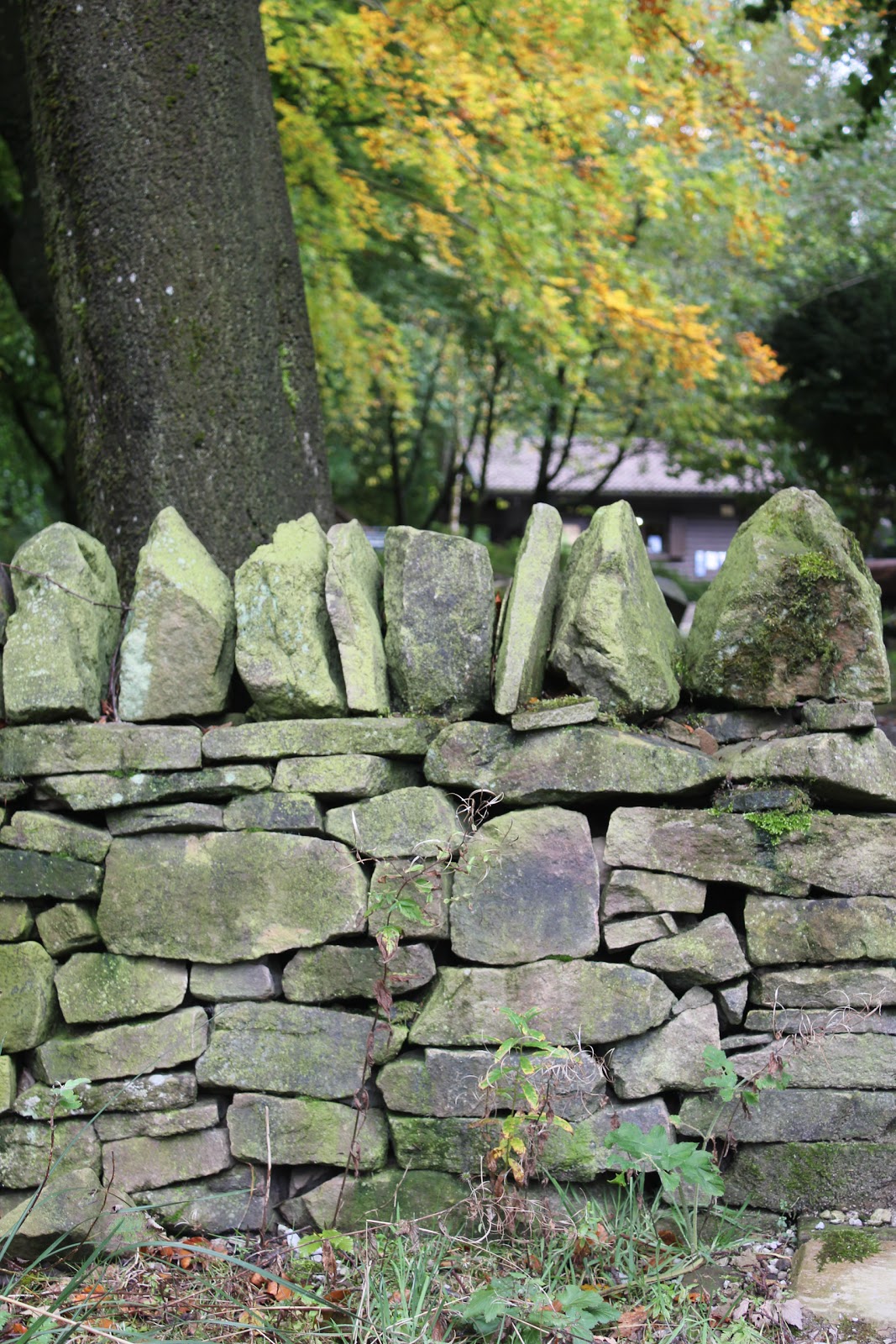 Juliet D Collins: Dry Stone Walls