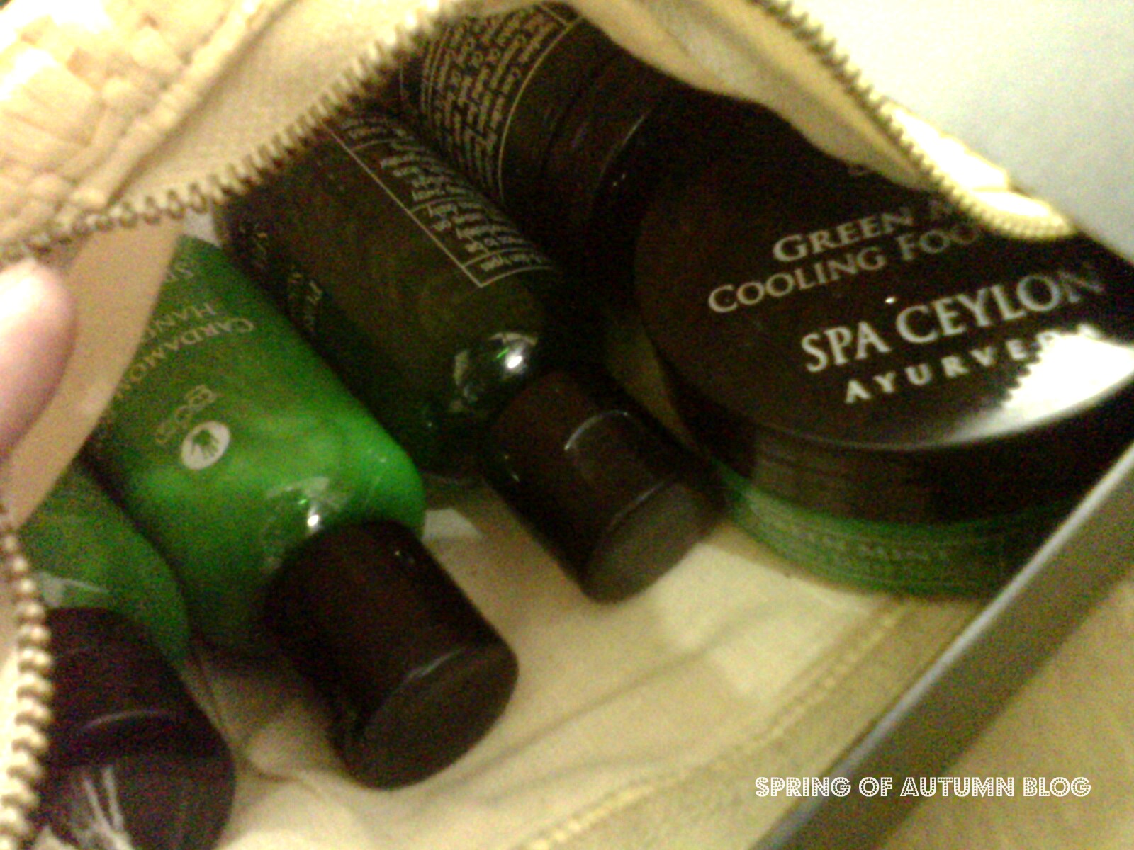 Spring of Autumn: An Introduction to Spa Ceylon Ayurveda