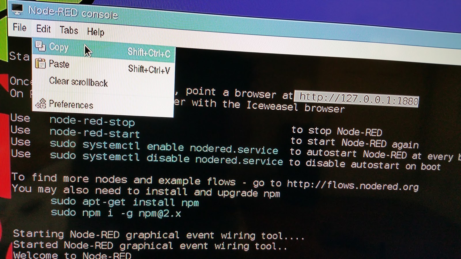 Diving into the Ominous Lagoon of Coding and Trying to Stay Afloat ...