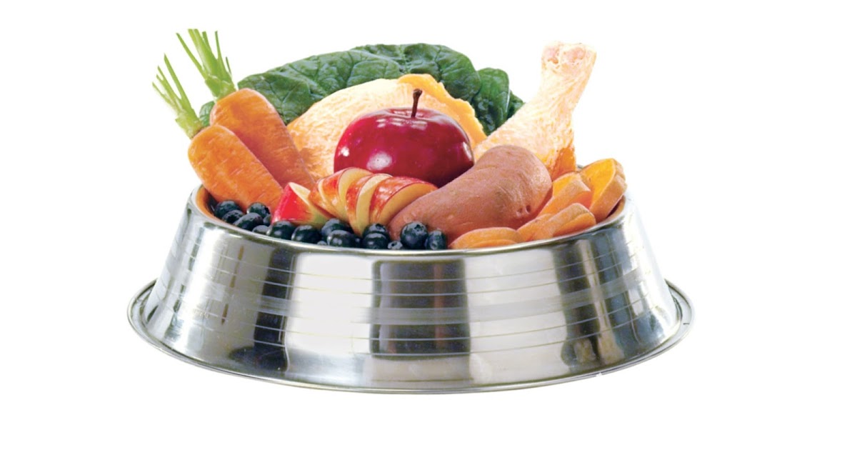 Tips On How To Make a Healthy Dog Food - Doglopedix