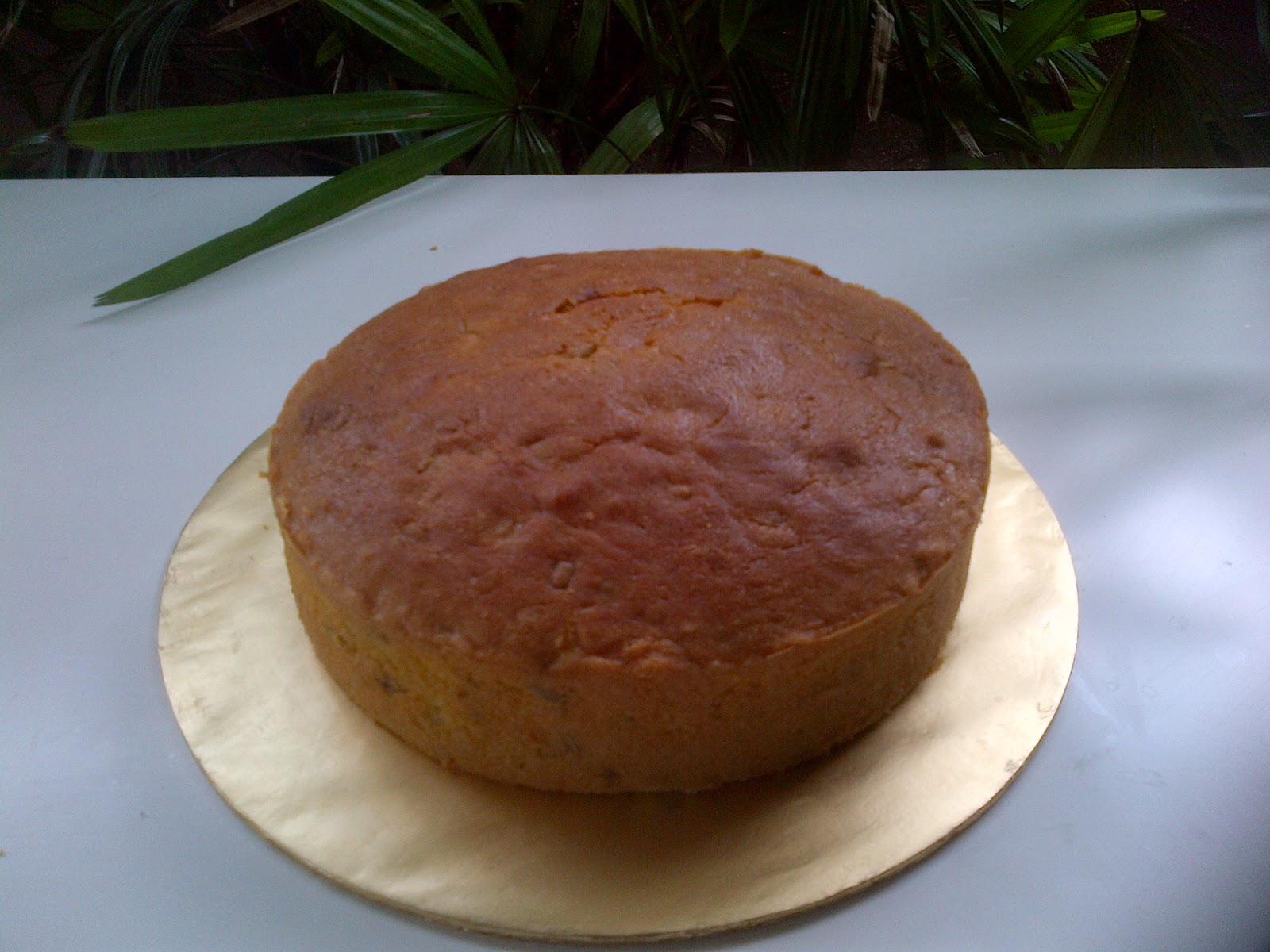 NORBAINI CAKES: Evergreen Cake Class on 1st April 2012