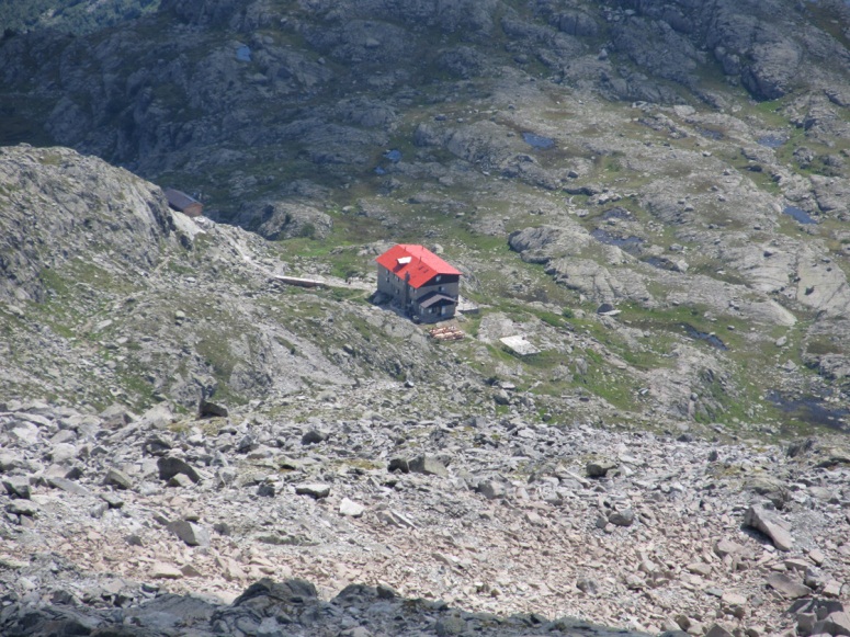 Escursionismo a 360°: Il Sentiero dei Fiori e Cima Payer (EEA)