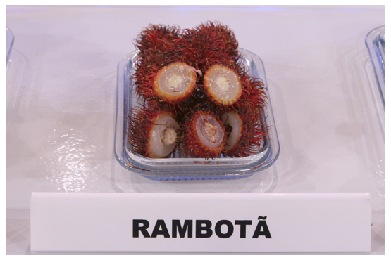 Dicas de Tudo: Beneficio das frutas exoticas para a dieta e saúde ...