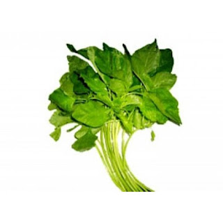 Manfaat dan Khasiat Sayur Bayam