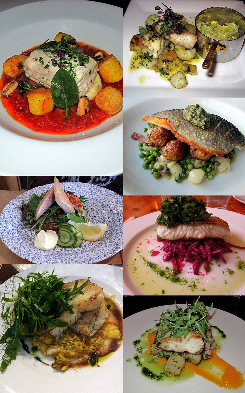 Fabulous Fish. 14 tempting plates.