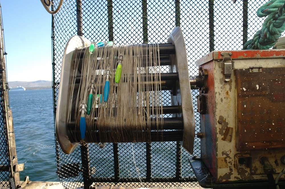 Penguin's Postcards - Thoughts from the deep south: Jigger Season