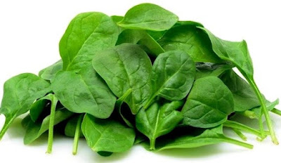 DE JESUS GÓMEZ: FOTOS DE ESPINACAS