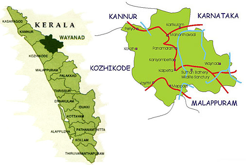 THE GREEN PARADISE "WAYANAD": Wayanad Photo Gallery