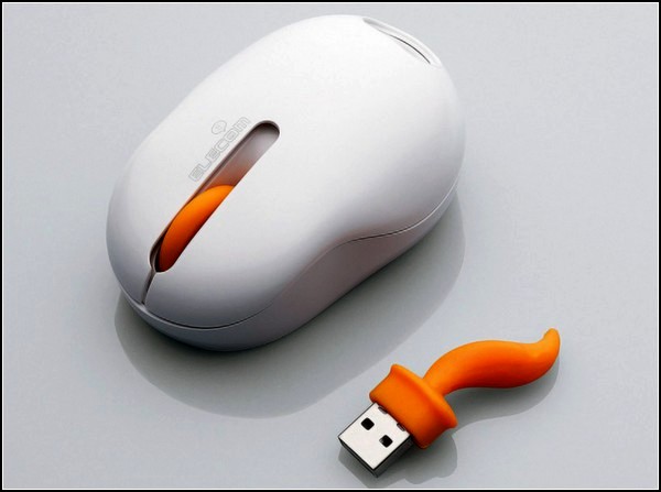 Science News: Computer mouse... With a tail. An amusing animal from ...