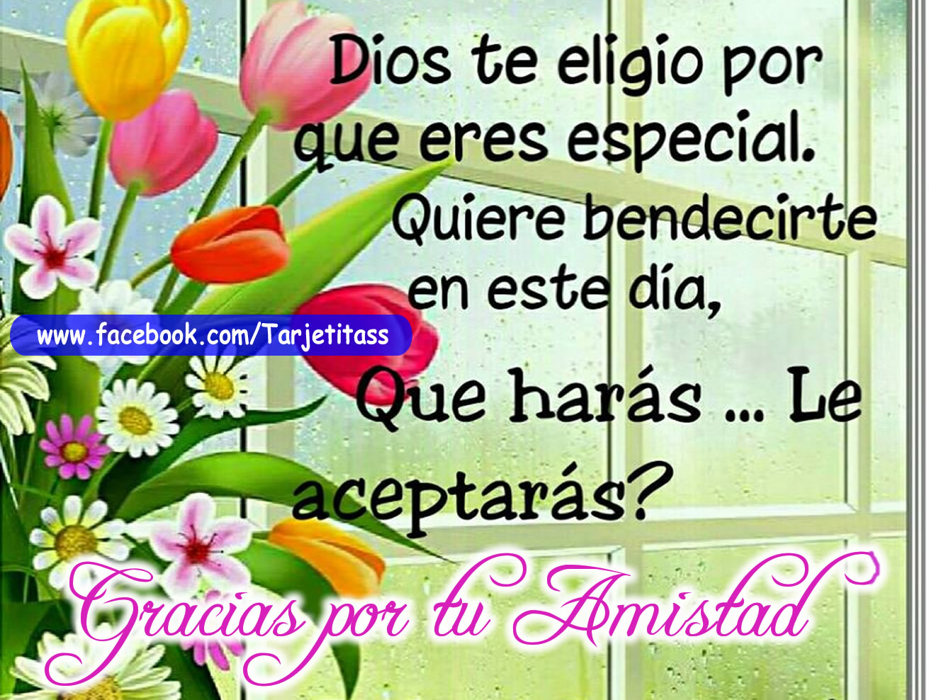 GRACIAS POR TU AMISTAD ~ Tarjetitass.com