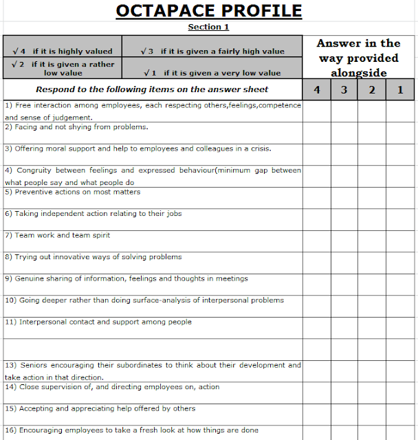Octapace Culture Questionnaire