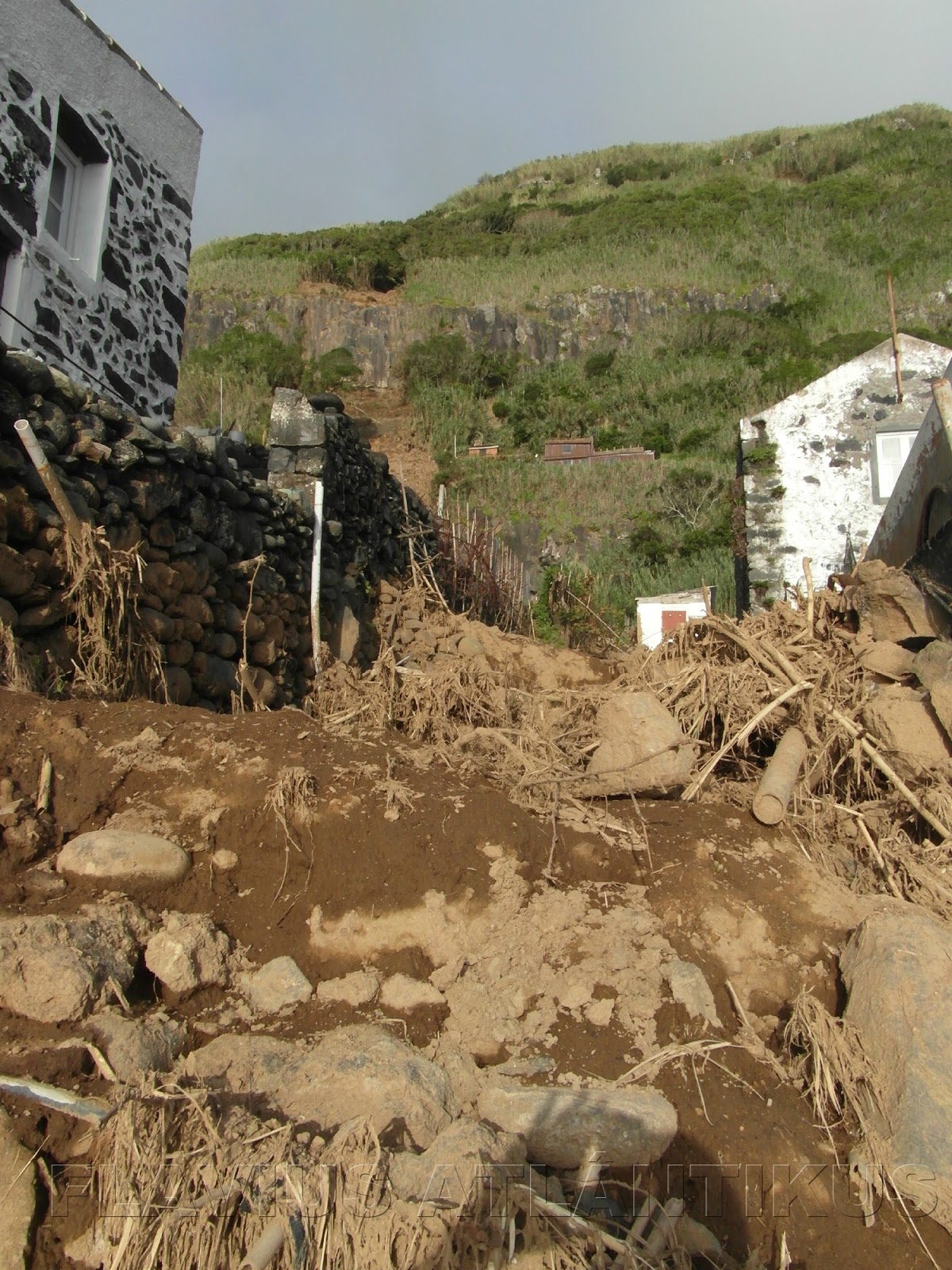 FLAVIUS ATLANTIKUS: Rocha da Relva - S. Miguel Island - Azores - Portugal