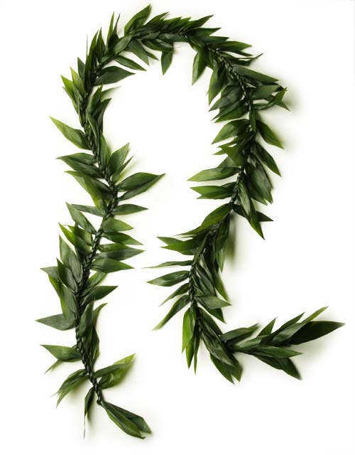 Bridal Dream Hawaii - Wedding Blog: Leis for Men