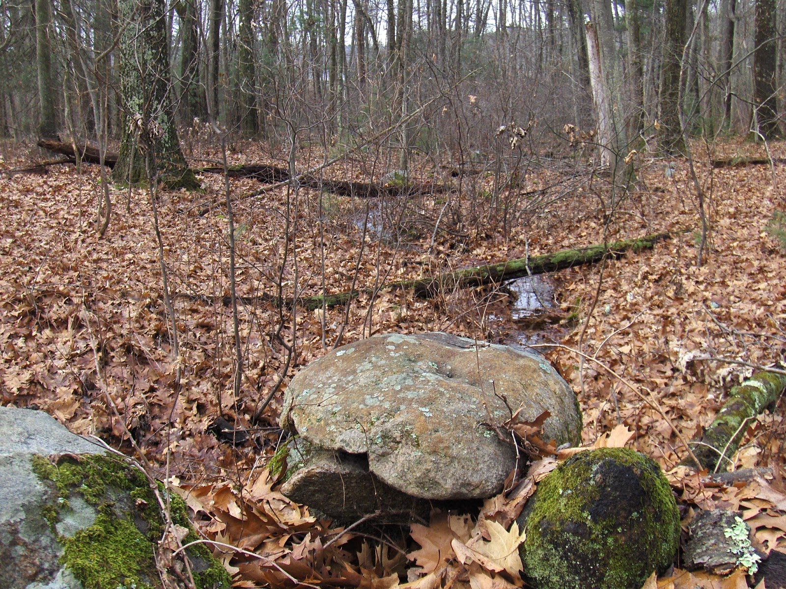 Rock Piles: Turtle shaped rock