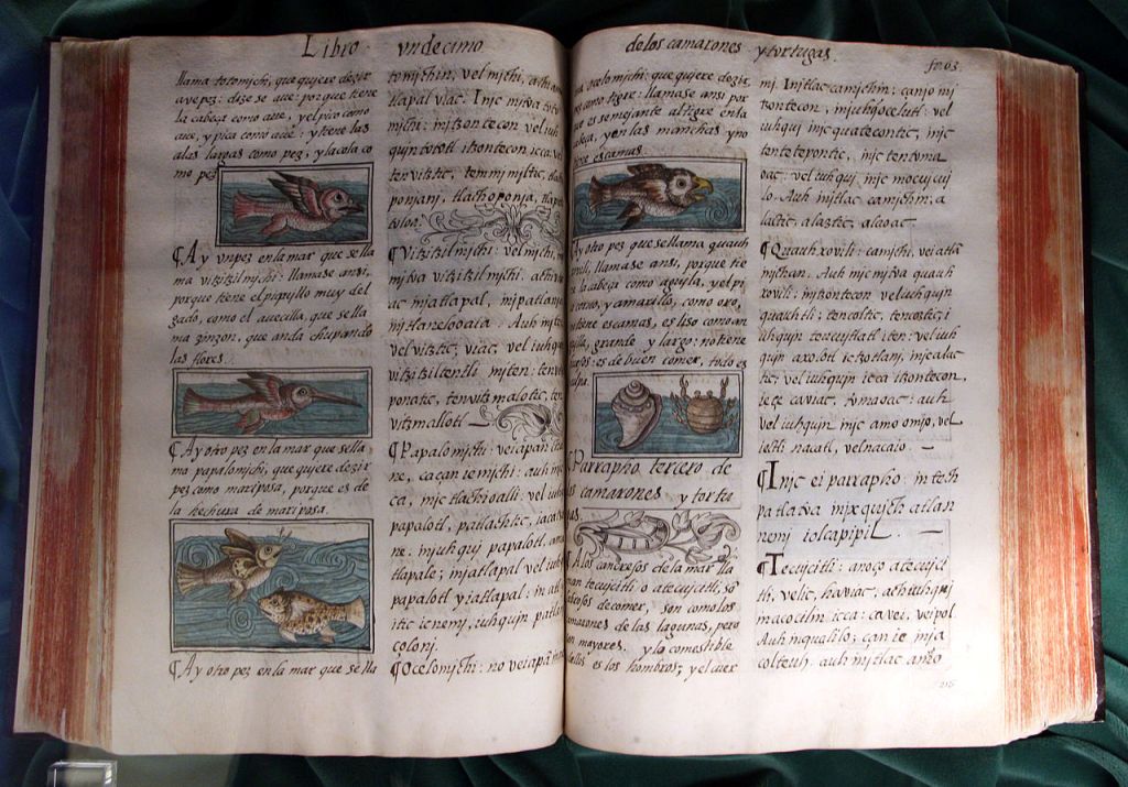 México a través de la mirada de una cubana: Jalisco y los Códices Mexicanos