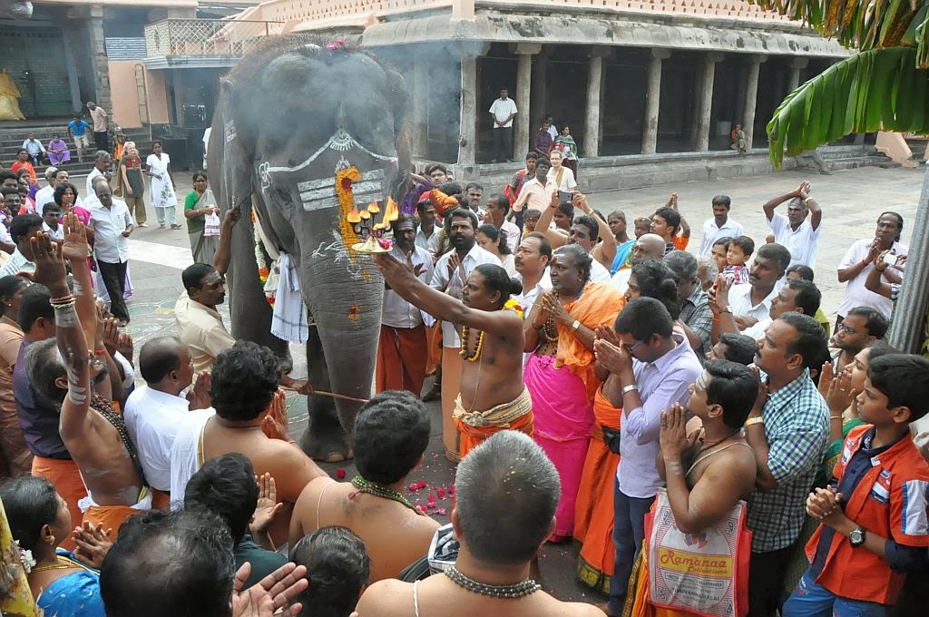December 2013 - ARUNACHALA GRACE