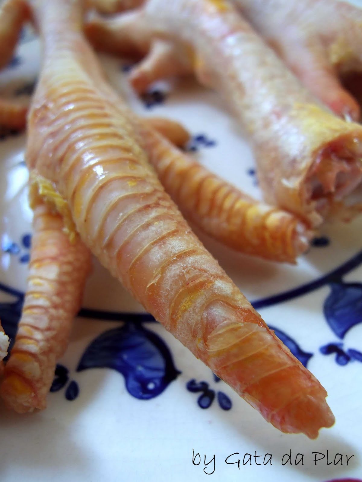 Gata da plar: ZAMPE DI GALLINA... non sempre vengon per nuocere!