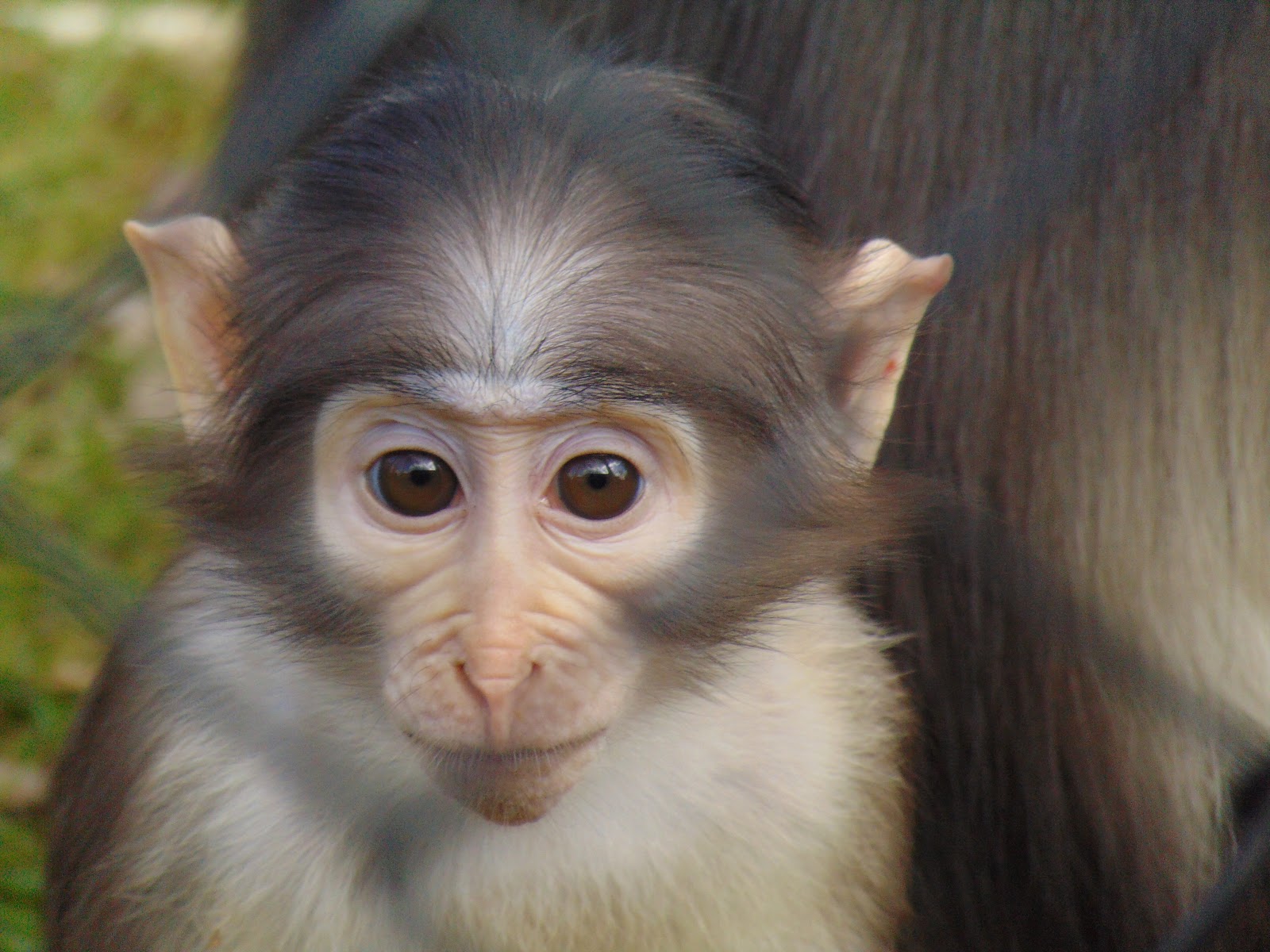 Welkom op Loekje 19: juni 2018