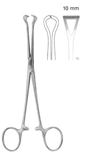 THE WORLD MIDEWIFE: Mari Mengenal Alat-alat Belah Minor