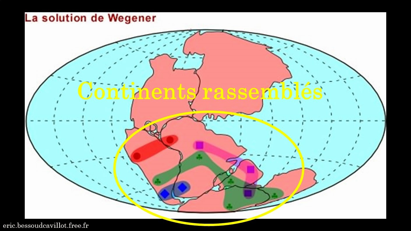 Le labo d'Anissa - SVT: Chapitre 1 : Naissance de la théorie de la dérive des continents (1èreS).