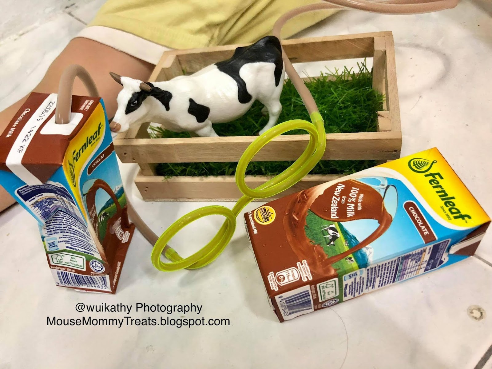 100% Mmmmm Fernleaf UHT Milk For Family And Kids - Mouse Mommy Treats