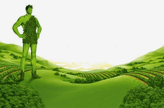 Géant vert-MicMac dans la bibliothèque