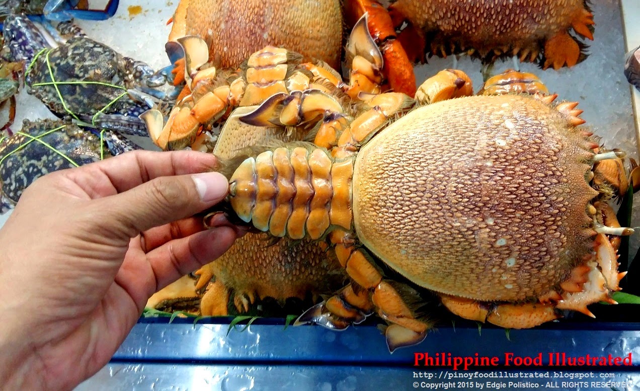 Philippine Food Illustrated: curacha