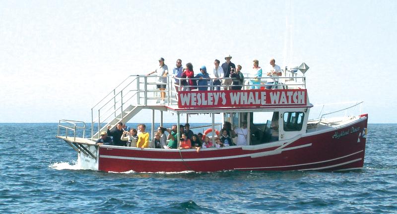 Cape Breton Tourism Spotlight: With Peak Season Expected, Wesley's ...