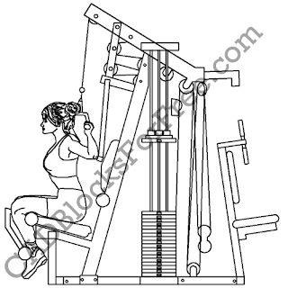 CADBlocksForFree.com: Download Gym Equipment CAD Blocks